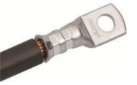 CTN Terminals | Dalroad